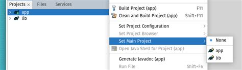 Gradle Issues 1 Resolveproblem 2 Cant Set Main Project · Issue 4851