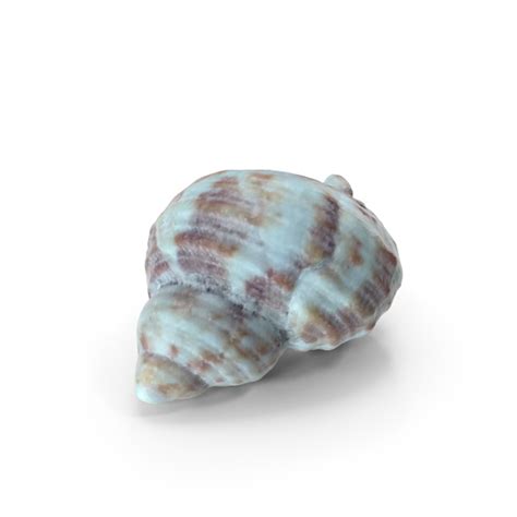 Shell Bypass Safe Mode Png Images And Psds For Download Pixelsquid