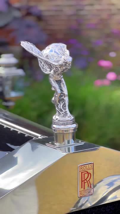 Elizabeth T On Linkedin I Had The Absolute Pleasure Of Being A