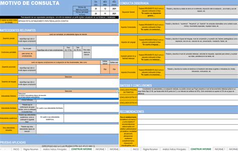 Software Wisc V Versión Chilena Wisc V Corrección Con Software Escala De Inteligencia Wechsler