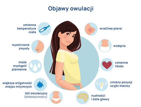 Owulacja Co To Jest Ile Trwa I Jakie Są Jej Objawy Centrum Wiedzy