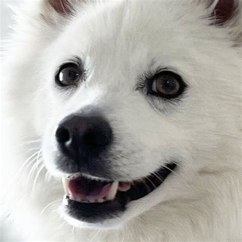 Ssoook Models And Ambassadors