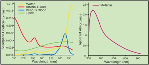 Types Of Liveness Detection Techniques