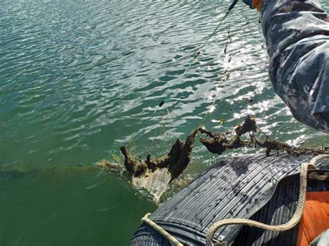 Хөвсгөл нуурын бохирдлыг багасгах ажлын хүрээнд хагас тонн хог хаягдлыг цэвэрлэлээ Isee Mn