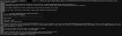 Installation Via Pyimagej Issue Morphonets SNT GitHub