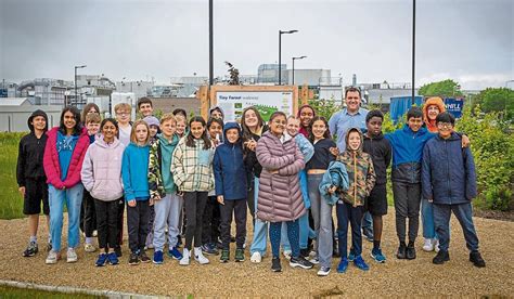 Green Limerick A Tiny Forest In An Industrial Estate Limerick Live