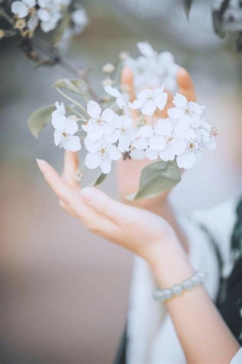 84 Cute Aesthetic Flower Profile Pictures Iwannafile