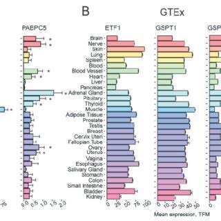 Tissue Specific Expression Pattern Of Translation Associated Genes