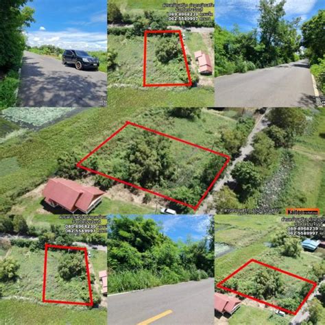 ขายที่ดินติดคลองใหญ่ ติดถนนลาดยาง วิวเขา เนื้อที่ 3 งาน 50 ตารางวา ที่ดินร้อยแปด คอม