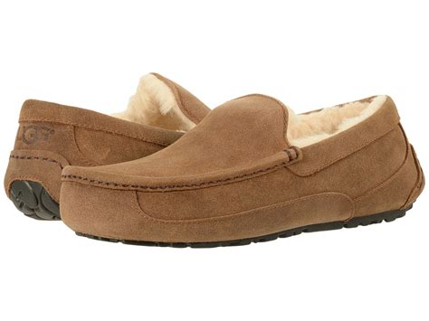 Ugg Ascot Wide Chestnut Mens Slippers Shop Comfy