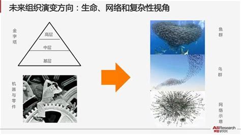 網際網路經濟十大重要議題 每日頭條