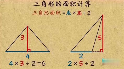 三角形面积怎么算看完记得帮自己的孩子收藏一下奥 教育 学校教育 好看视频