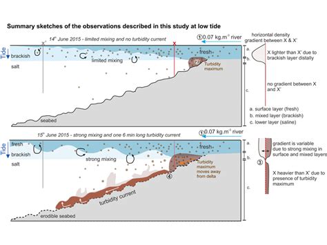 Turbidity Currents Move Suspended Sediment Into The Ocean In General