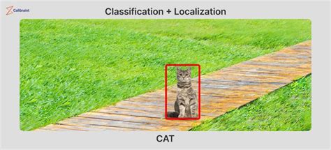 Object Recognition How Ml And Deep Learning Work Together