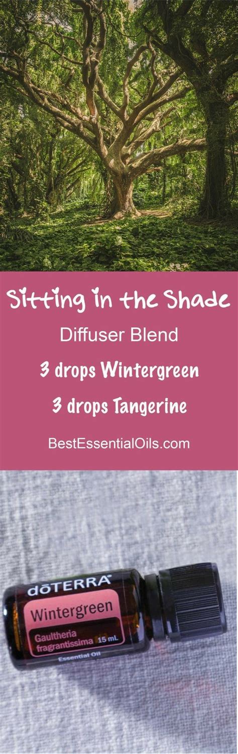 Pin By Janeese Bank On 1 Eo 1 Diffuser P T Doterra Diffuser Blends Pin By Janeese Bank On 1 Eo 1 Diffuser P T Doterra Diffuser Blends
