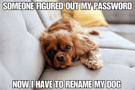 Top 30 Cybersecurity Memes Of 2025 Security Compass