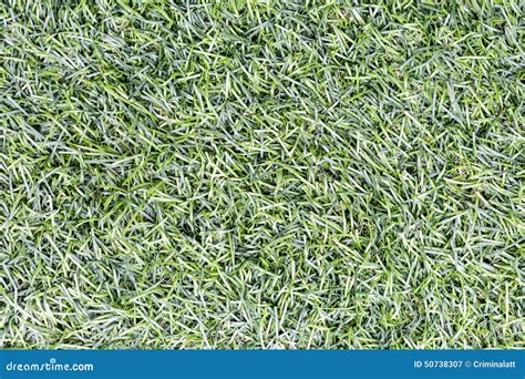 Artificial Grass Surface Texture Stock Image Image Of Synthetic Outdoor 50738307