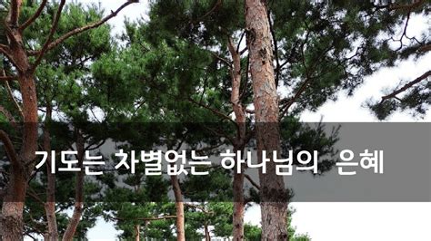 기도는 차별없는 하나님의 은혜 김길형목사 Youtube