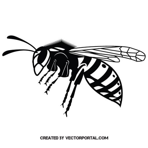 Wasp Graphics Royalty Free Stock Svg Vector