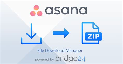 asana backup and export your attachments and files in bulk