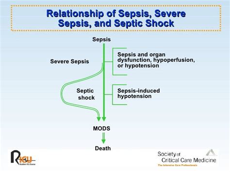 Severe Sepsis Vs Shock At Beth Anker Blog