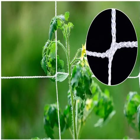 X Plant Netting Tomato Trellis Vegetables Flowers Fruits Temu X Plant Netting Tomato Trellis Vegetables Flowers Fruits Temu
