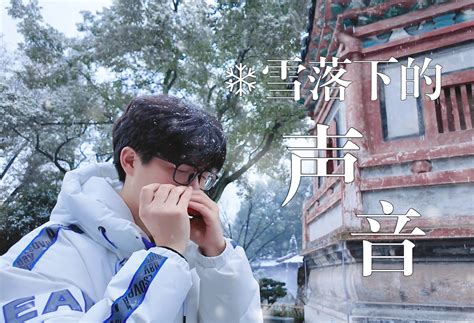 【口琴】雪落下的声音 下雪天吹太有感觉了 Clock口琴 Clock口琴 哔哩哔哩视频