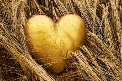 Heart Love Gold Free Photo On Pixabay