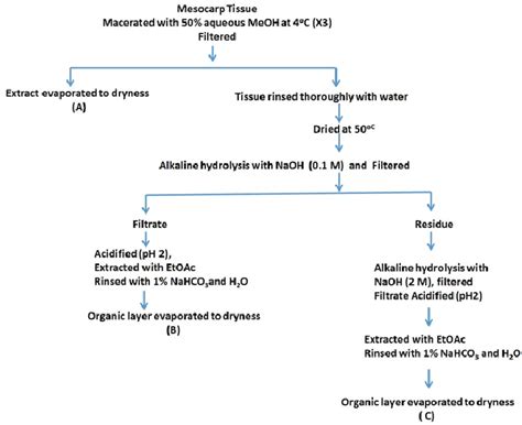Schematic Flow Chart For Extraction Of Bioactive Compounds From Download Scientific Diagram