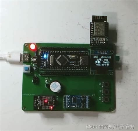 【特纳斯电子】智能手环 实物设计 Csdn博客