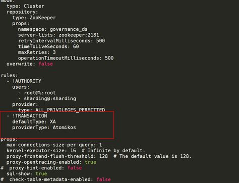 Shardingsphere Proxy Throw Xa Exception When Integration With Spring