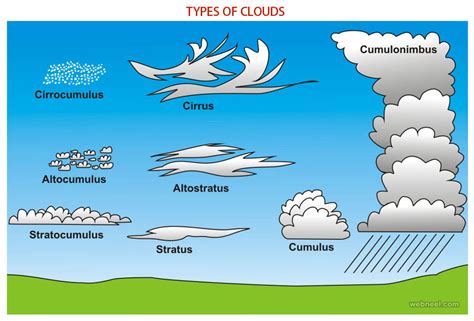 Clouds Igcse Geography Diagram Quizlet