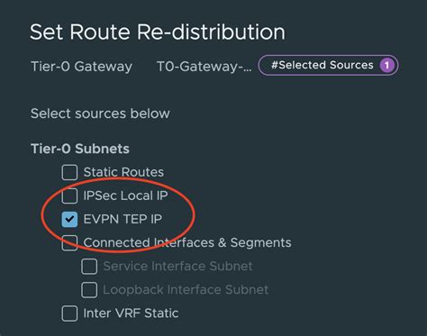 Bgp Evpn Between Nsx And Vyos Part 1