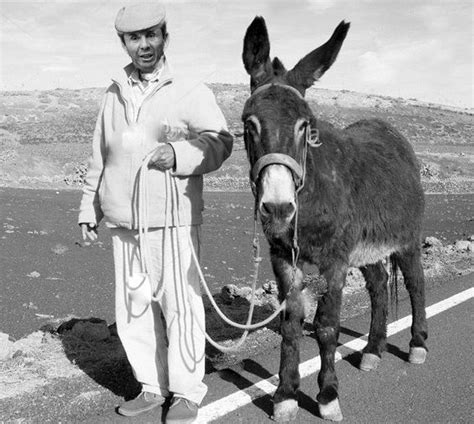 ვირი და ვირის პატრონი კვირის პალიტრა