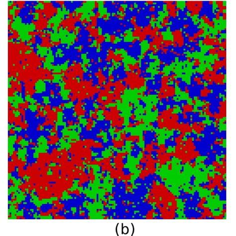 Cellular Potts Model Simulation Each Figure Is Snapshot From Different