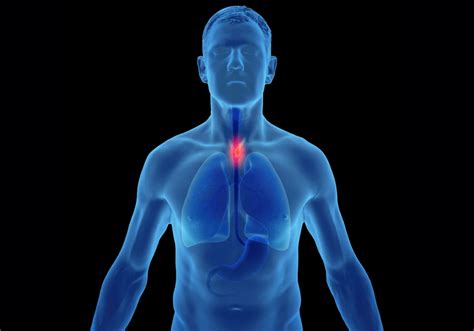Ai And Hyperspectral Imaging For Early Oesophageal Cancer Detection