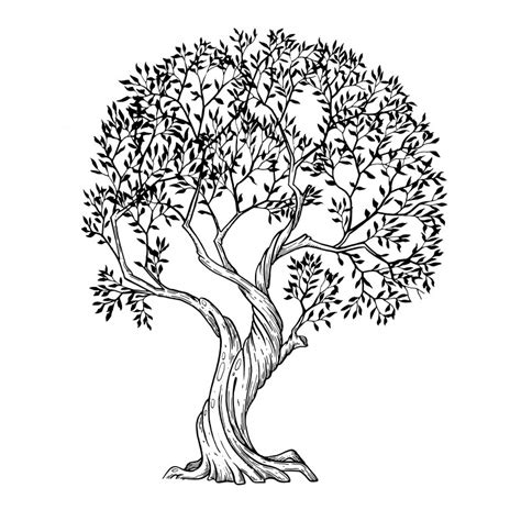 دانلود وکتور طرح درخت نقاشی شده رنگ مشکی دانلود رایگان فایل لایه باز، Psd، وکتور، لوگو و موکاپ