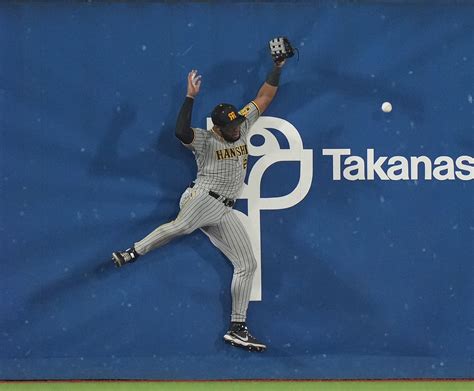 【阪神】矢野監督「もう球場とかそんなこと言ってられへんからね」ハマスタで連敗続く／一問一答 プロ野球写真ニュース 日刊スポーツ