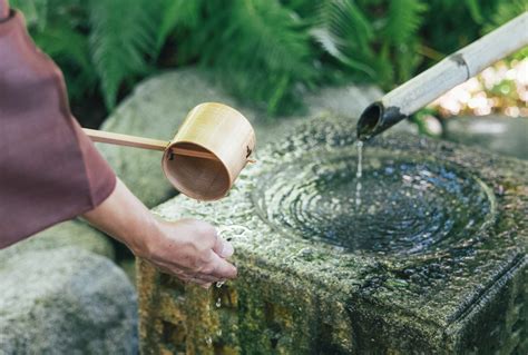 Courses Sokeis Tea Class