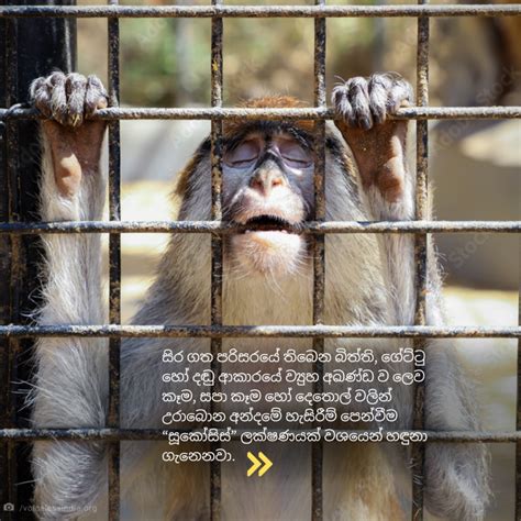 301 Moved Permanently