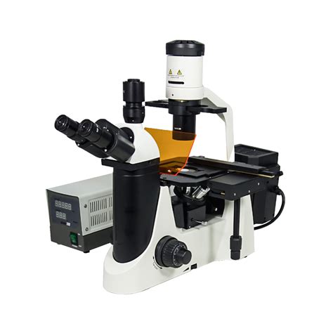 Fluorescence Microscopy