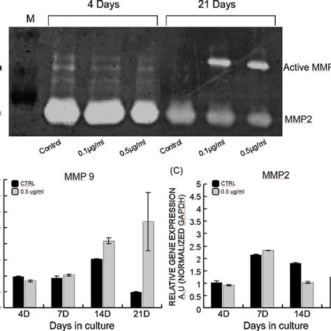 ATDC Cell Differentiation In Culture To Assess Induction Of Cell Download Scientific Diagram