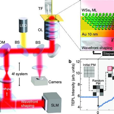 Finite Difference Time Domain Fdtd Analysis Of Wavefront Shaping The Download Scientific