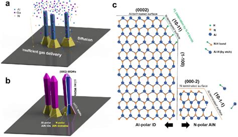 Illustration Of Growth Process Of Alganaln Mqws And Atomic Structure Download Scientific