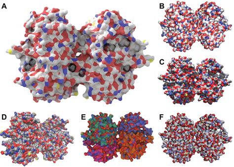 Renderings Produced By Select Molecular Visualization Software Download Scientific Diagram