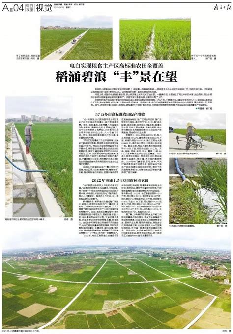 “疍家墟”中看乡村振兴茂名样板速览《南方日报·电白视窗》74期标题视觉来源