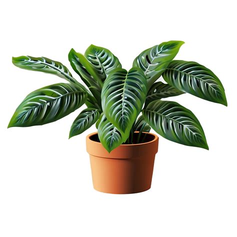 [100 ] Small Plant Png Images
