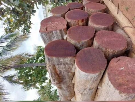 Non Polished Mahogany Wood For Making Furniture Flooring Kitchen