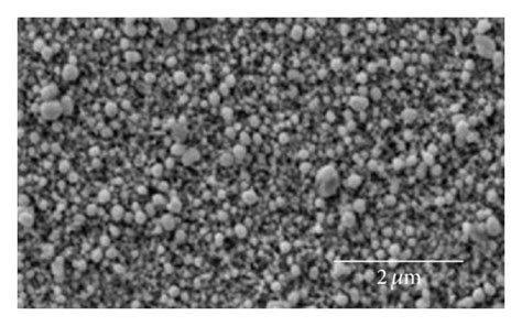 sem image of a rgo tio2 and b ce rgo tio2 coated ito substrate