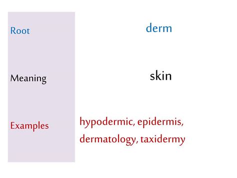 PPT Root Meaning Examples PowerPoint Presentation Free Download ID